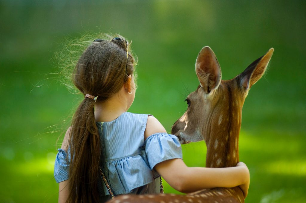 Teaching Your Kids to Respect Animals - fashionmommy's Blog