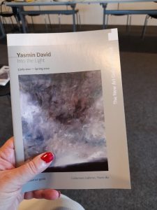 Yasmin David: Into the Light At The New Walsall Art Gallery ...